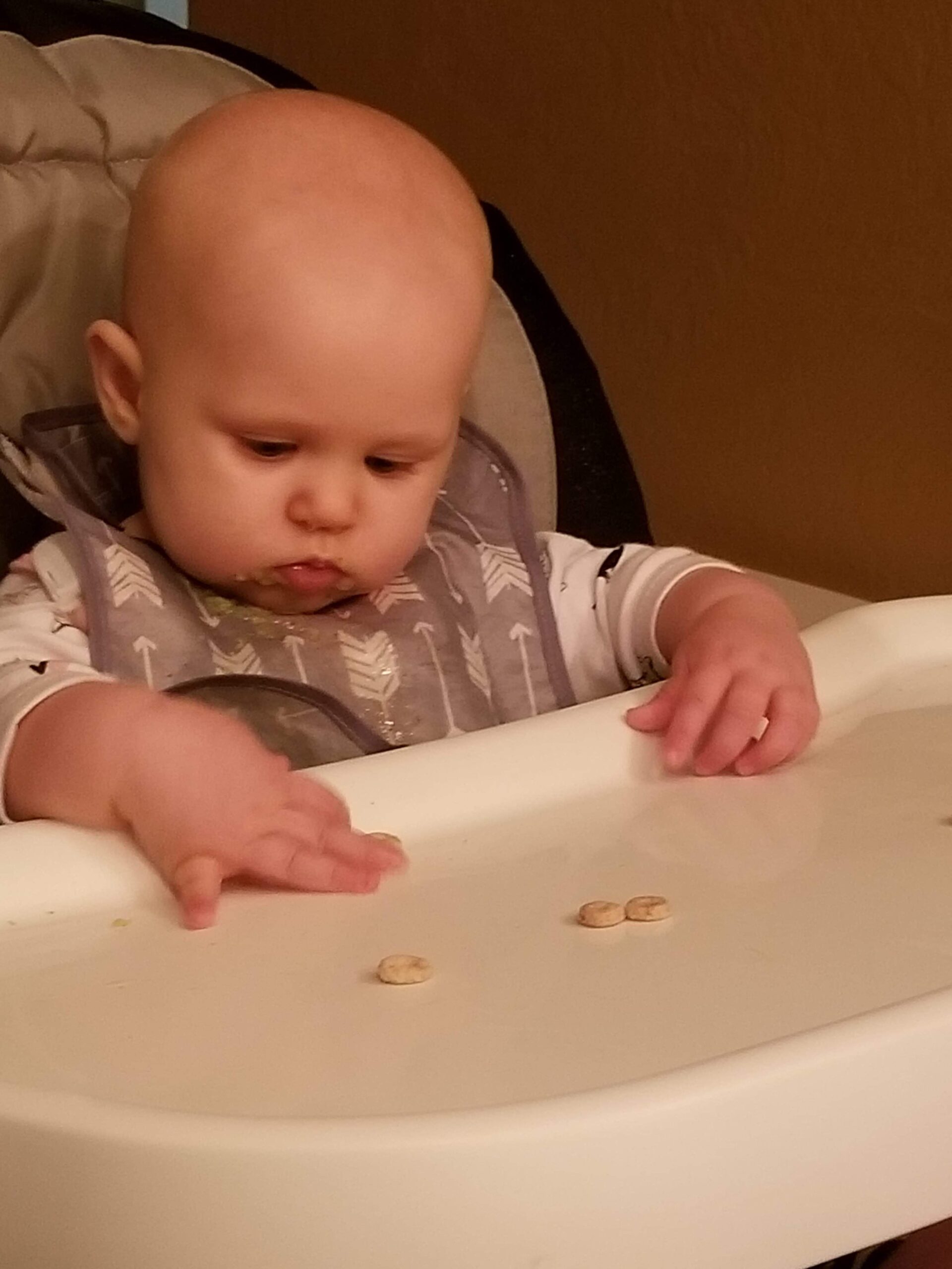 Six Month Well-Baby Check-up and ASQ - Pollywog