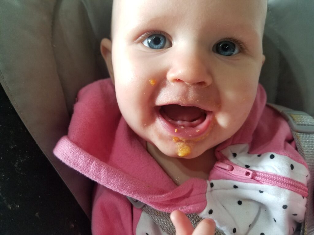 Celebrating the Fall Season - Pollywog